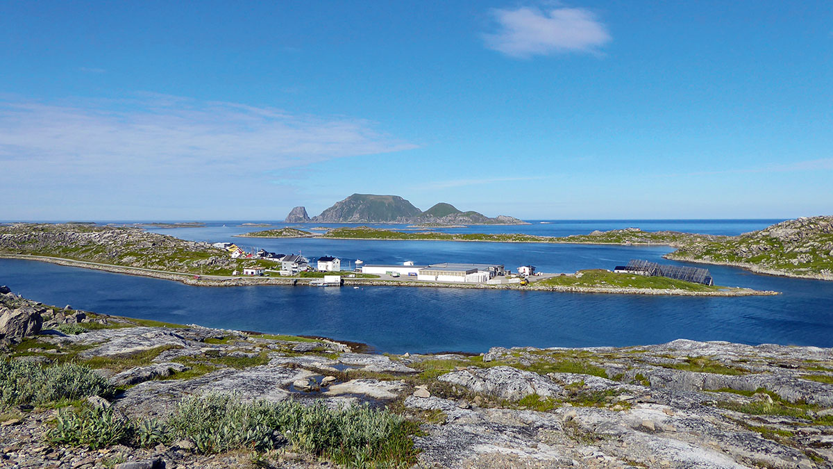 JANGAARD I ÅLESUND: Suksess med klippfisk og eiendom