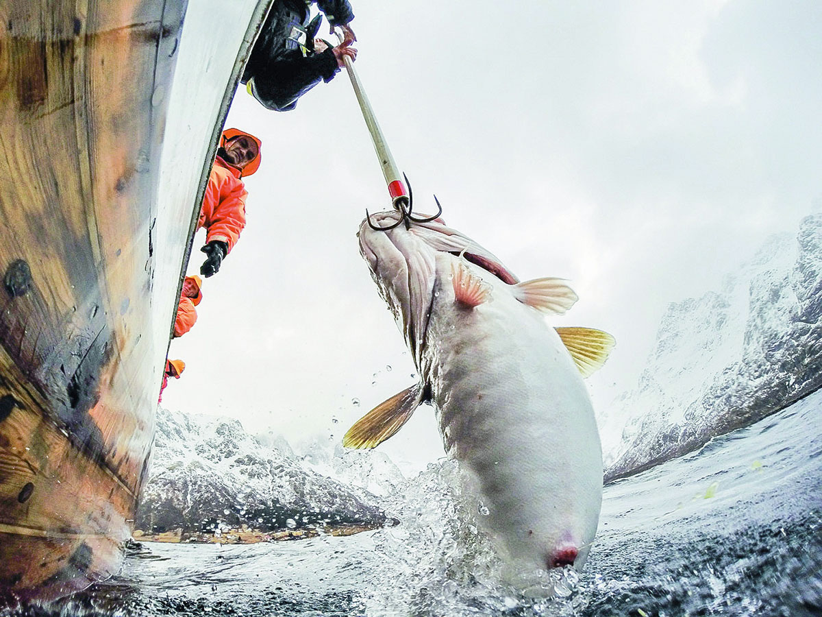 JANGAARD I ÅLESUND: Suksess med klippfisk og eiendom