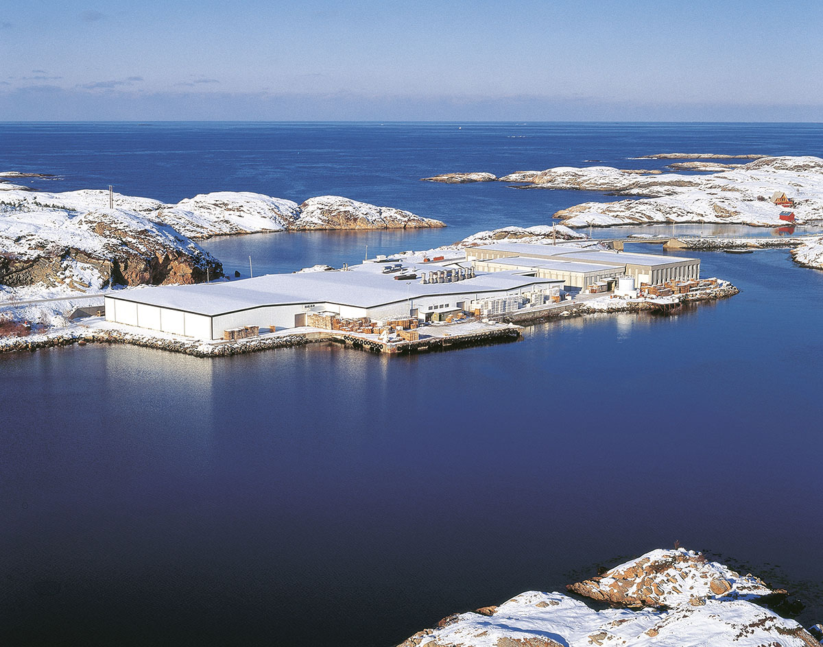 JANGAARD I ÅLESUND: Suksess med klippfisk og eiendom