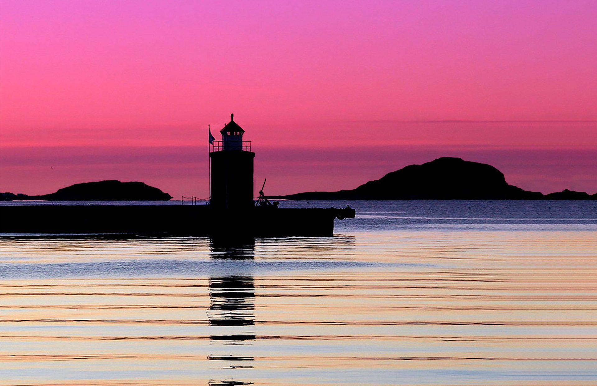 MOLJA — hvitfiskbørsen i Ålesund!