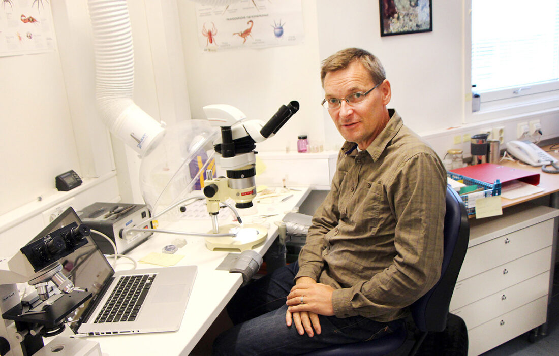 Hva vet vi om vindkraft i havet?