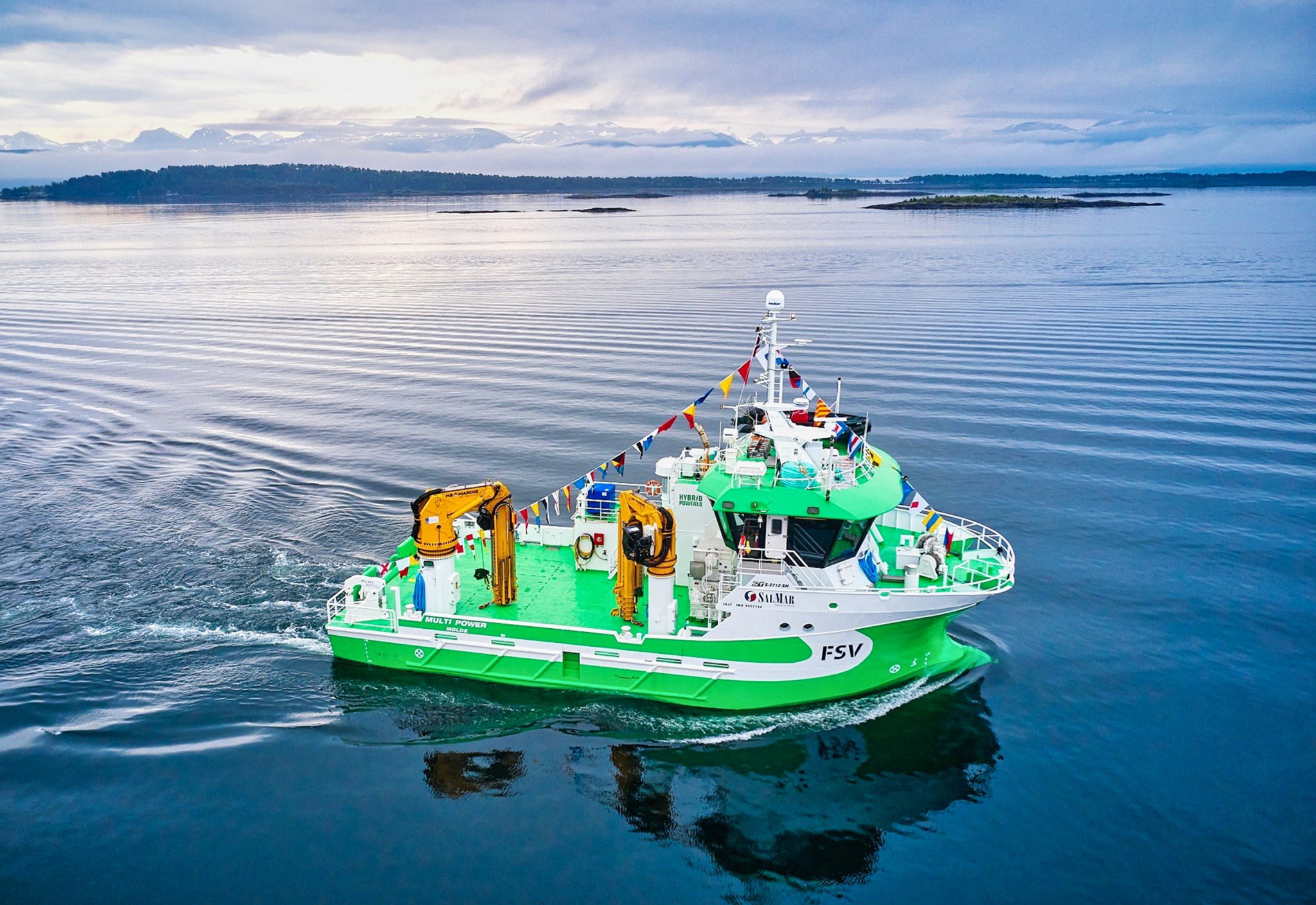 Multidåp for grønne FSV Group