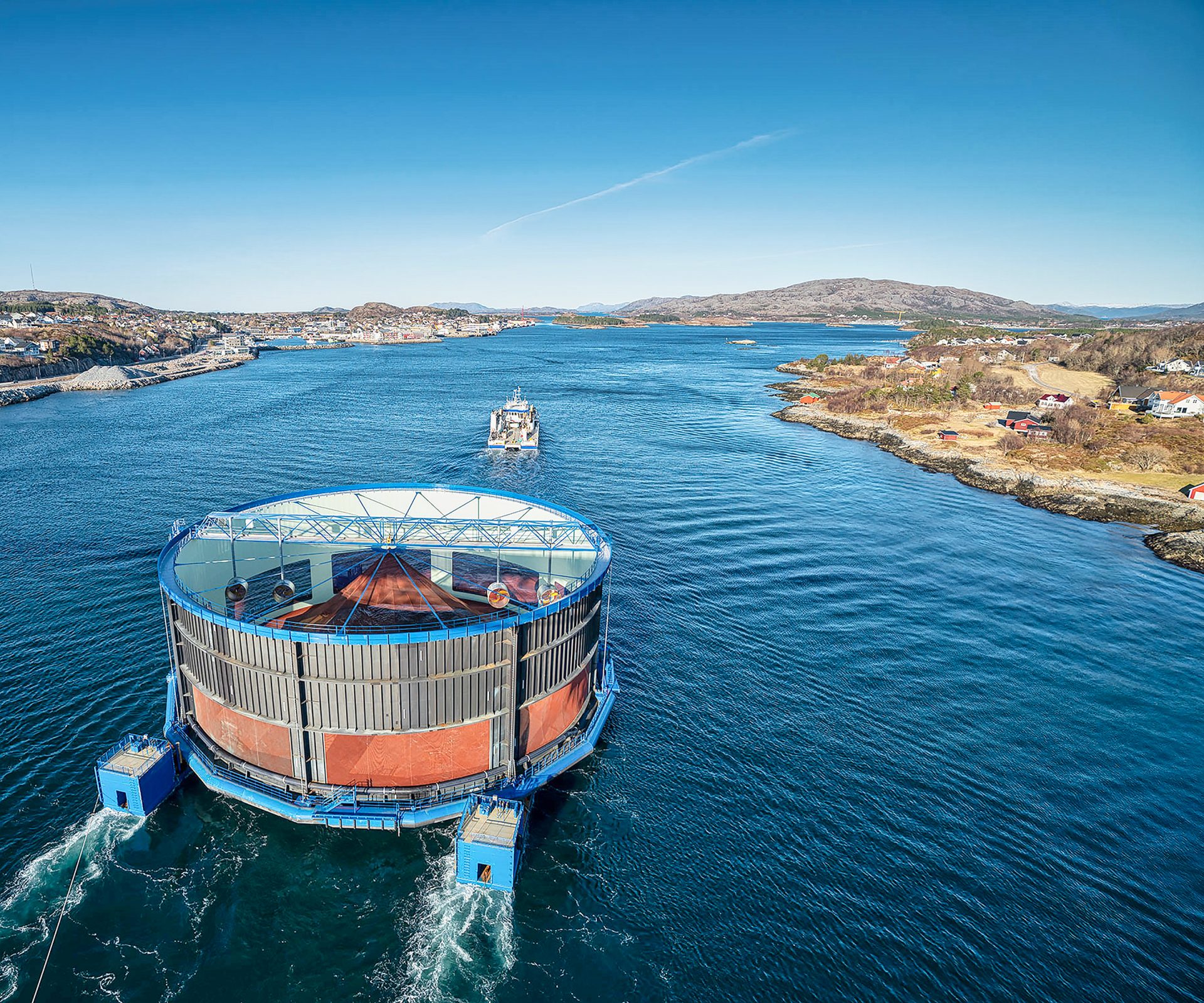 Merdnøtenes utfordrere