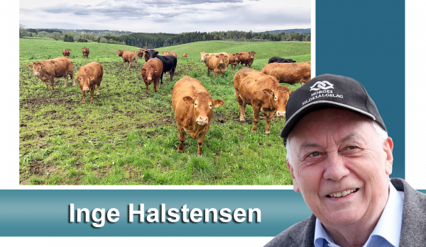 Nei, de er ikke lenger våre brødre!