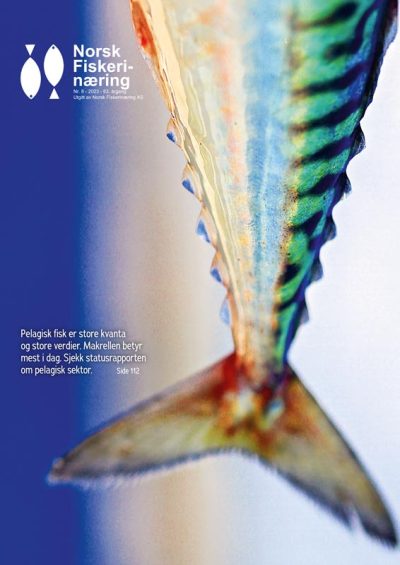 Pelagisk sektor:Mye fisk — store verdier