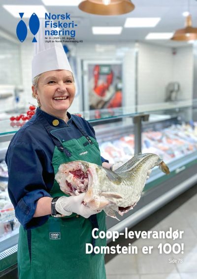 Domstein 100 år:En viktig del av historien– på ingen måte historie!